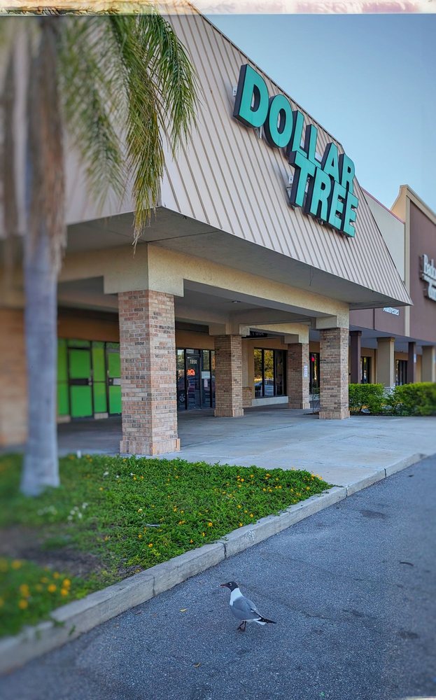 DOLLAR TREE - Updated October 2025 - 1900 34th St N, Saint Petersburg ...