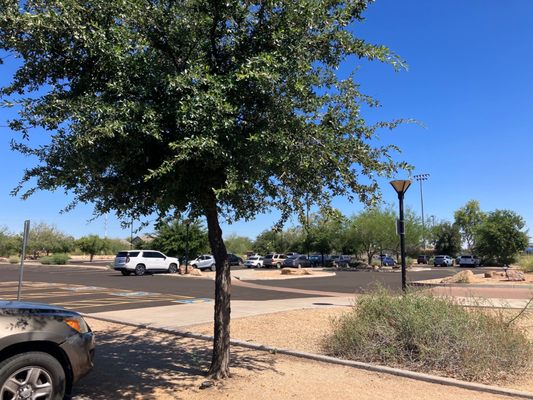 FOOTHILLS LIBRARY - Updated August 2025 - 27 Photos & 25 Reviews ...