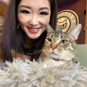 PHX CAT CAFE - Updated December 2024 - 489 Photos & 144 Reviews - 147 E Garfield St, Phoenix ...
