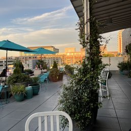 BOTANICAL LOUNGE - Updated July 2025 - 84 Photos & 35 Reviews - 419 ...