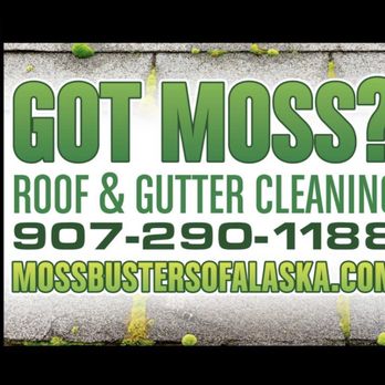 MOSS BUSTERS OF ALASKA - Updated October 2025 - 14 Photos - Wasilla ...