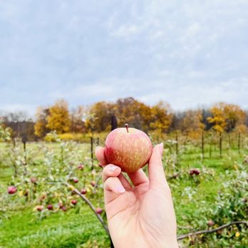 Are Dogs Allowed At Patterson Fruit Farm