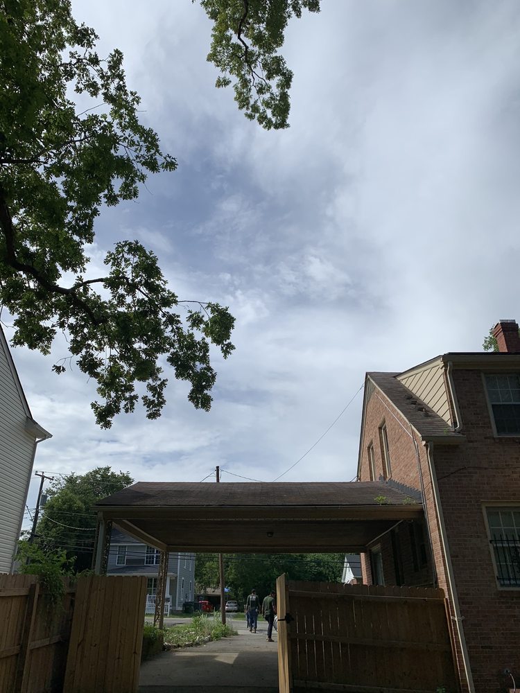 CASTILLO TREE SERVICES & LANDSCAPING - Updated October 2025 - Henrico ...