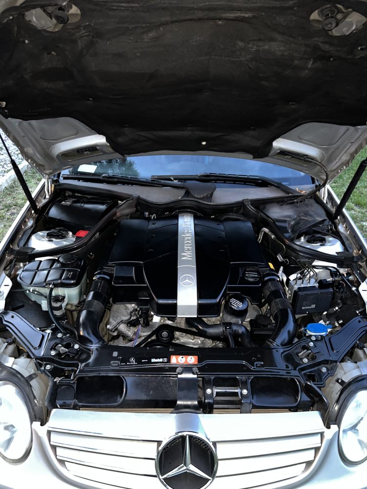 DUTTON RESTORATIONS - Updated December 2024 - Ocala, Florida - Damage ...