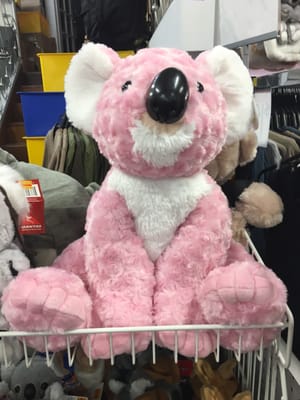 PERTH SOUVENIRS & GIFTWARE - Updated June 2024 - 11 Photos - 92/94 ...