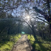 SPRING LAKE REGIONAL PARK - 477 Photos & 144 Reviews - 393 Violetti Rd ...