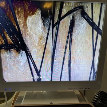 HARU HEAD SPA - Updated July 2024 - 43 Photos & 40 Reviews - 4411 ...