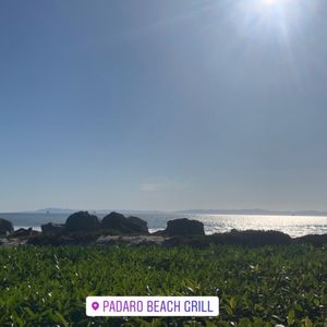 PADARO BEACH GRILL - 1163 Photos & 992 Reviews - 3765 Santa Claus Ln ...