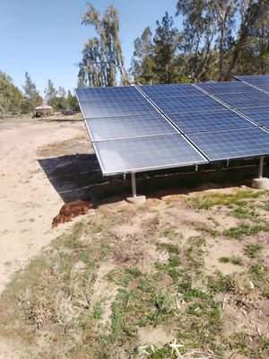 SPRUCE POWER - Updated December 2025 - 17 Photos & 149 Reviews - 820 ...