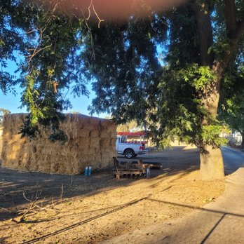 THE ORANGE SOLAR - Updated August 2025 - 17 Photos - 221 W Main St ...