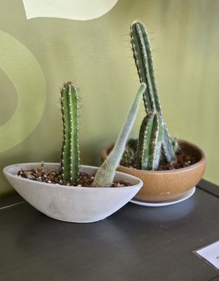 OLD SOUL - Updated January 2026 - 33 Photos & 35 Reviews - 10239 Fair ...