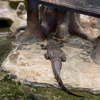 BASS PRO SHOPS - Updated September 2025 - 473 Photos & 198 Reviews - 1 ...