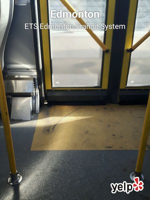 ETS EDMONTON TRANSIT SYSTEM - Updated December 2025 - 26 Photos & 109 ...