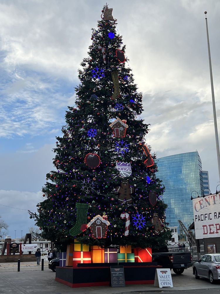 G WILLIKERS TOY EMPORIUM - Updated May 2025 - 259 Photos & 49 Reviews ...