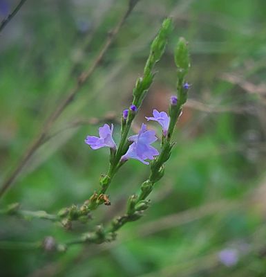 RUM 138 - Updated October 2025 - 39 Reviews & 81 Photos - 2070 SW Cr ...