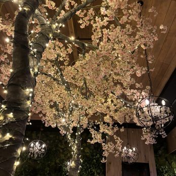 LUPESSA - Updated December 2024 - 552 Photos & 229 Reviews - 156 S ...