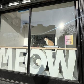MEOW PARLOUR - Updated July 2024 - 840 Photos & 301 Reviews - 43 Essex ...