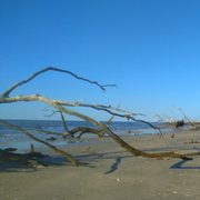 BOTANY BAY PLANTATION - 272 Photos & 64 Reviews - 7510 Botany Bay Rd ...