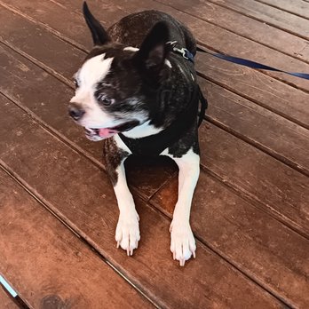 THE LOOKOUT KITCHEN-BEAVERS BEND - Updated November 2025 - 34 Photos ...