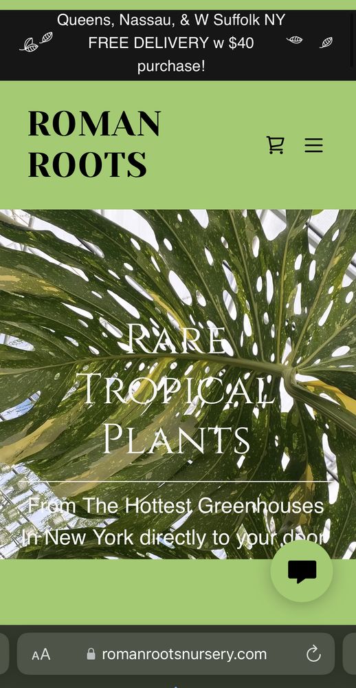 ROMAN ROOTS - Updated October 2025 - New York, New York - Nurseries ...