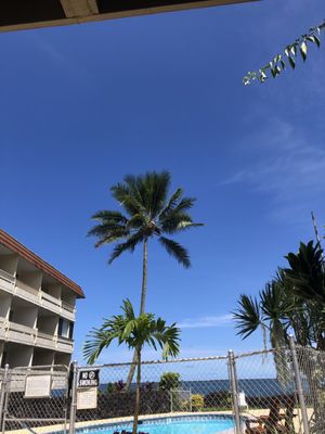 HILO REEDS BAY HOTEL - 39 Photos & 52 Reviews - Hotels - 175 Banyan Dr ...