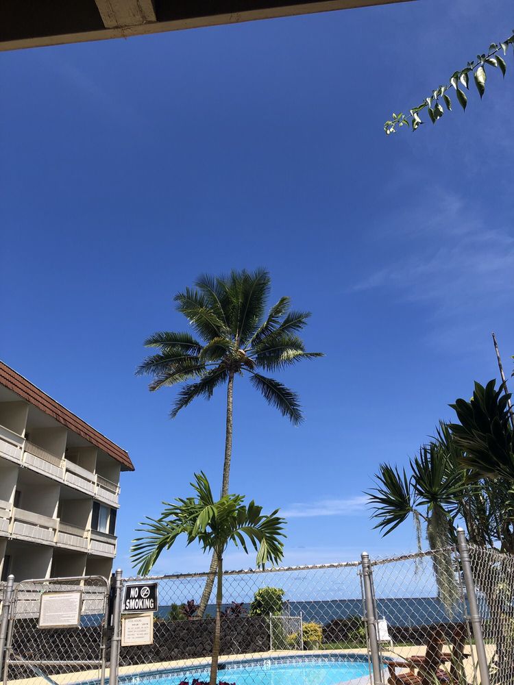 HILO REEDS BAY HOTEL - 15 Photos & 31 Reviews - Hotels - 175 Banyan Dr ...