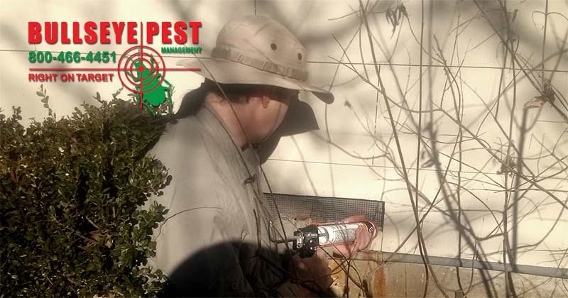 BULLSEYE PEST MANAGEMENT - Updated November 2024 - Arlington, Texas ...