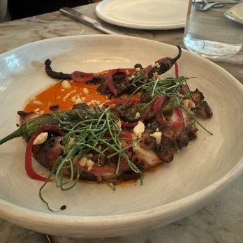 PREDALINA - Updated November 2024 - 717 Photos & 255 Reviews - 1001 E ...