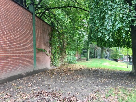 FORBES FIELD OUTFIELD WALL - Updated December 2025 - 33 Photos & 16 ...