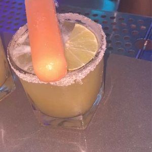 HIGHKEY RAINFOREST ROOFTOP - 114 Photos & 73 Reviews - 6 Platt St, New ...