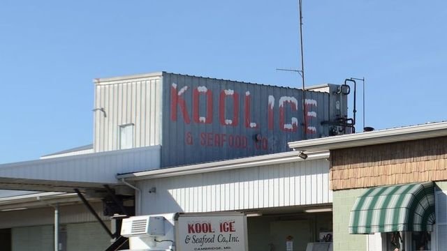 KOOL ICE AND SEAFOOD - Updated August 2025 - 20 Photos & 17 Reviews ...