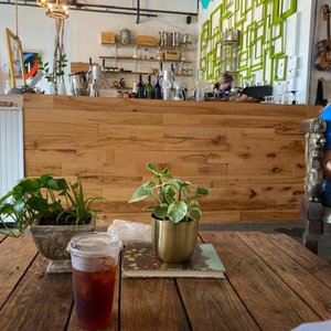 LUCKY TREE - 150 Photos & 110 Reviews - 3801 Hillsborough St, Raleigh ...