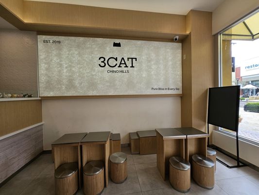 3CAT HANDCRAFTED BEVERAGE - Updated May 2025 - 213 Photos & 130 Reviews ...