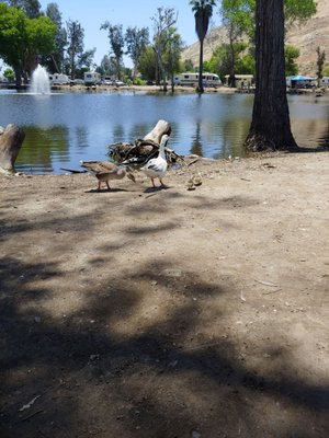 REFLECTION LAKE RV PARK & FISHING CAMPGROUND - Updated May 2024 - 82 ...