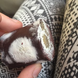 FUNZ TRAMPOLINE PARK - Updated October 2025 - 87 Photos & 16 Reviews ...