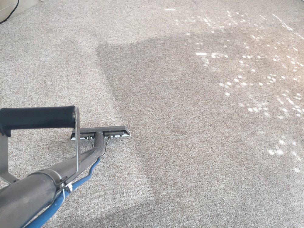 WIZARD CARPET & RUG CLEANING - Updated September 2025 - 4072 Solberg Ln ...