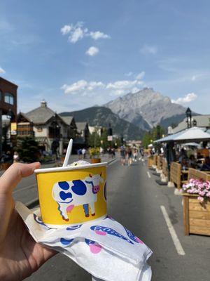 COWS - Updated August 2025 - 320 Photos & 204 Reviews - 138 Banff ...