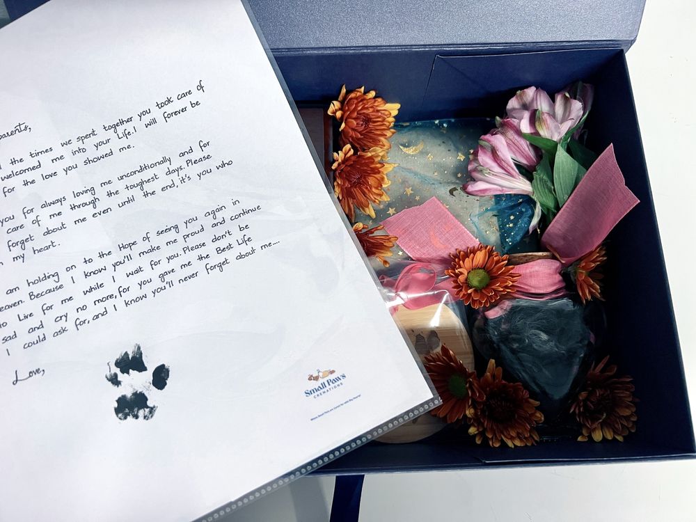 SMALL PAWS CREMATIONS - Updated January 2026 - 320 Photos & 184 Reviews ...