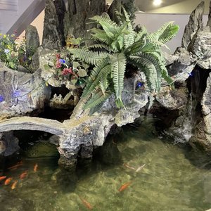 MEDIZEN ADVANCED IMAGING - Updated May 2024 - 10 Photos & 93 Reviews ...