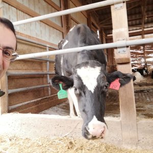 KLEIN FARMS DAIRY & CREAMERY - 118 Photos & 72 Reviews - 410 Klein Rd ...