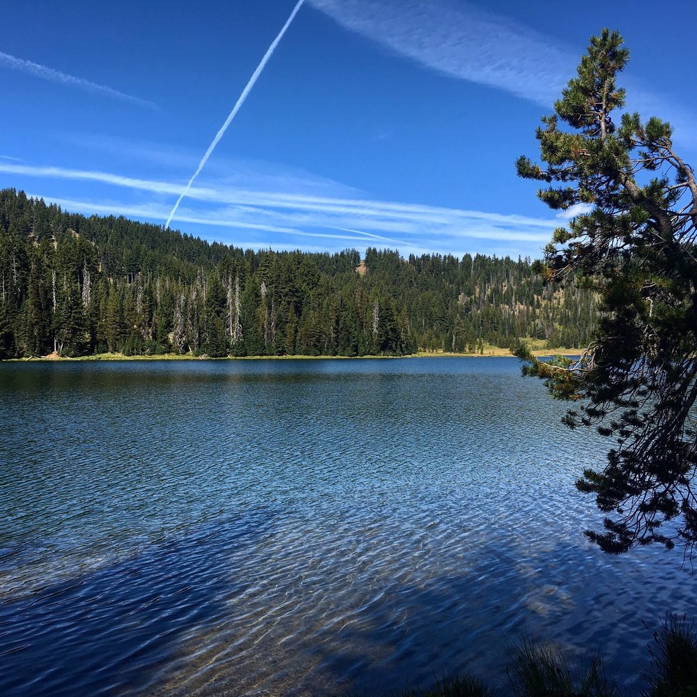 TODD LAKE - NFD 370 Trl, Bend, Oregon - Lakes - Yelp