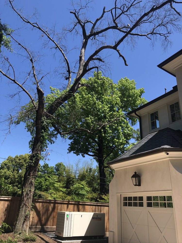 TREE SERVICE HOUSTON FANTASTIC - Updated August 2025 - 13 Photos ...