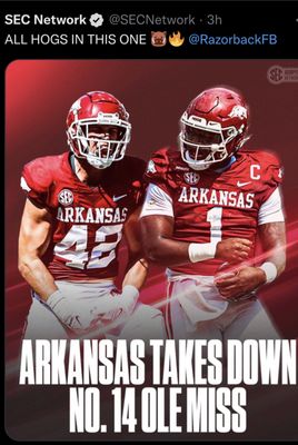 DONALD W. REYNOLDS RAZORBACK STADIUM - Updated November 2024 - 93 ...