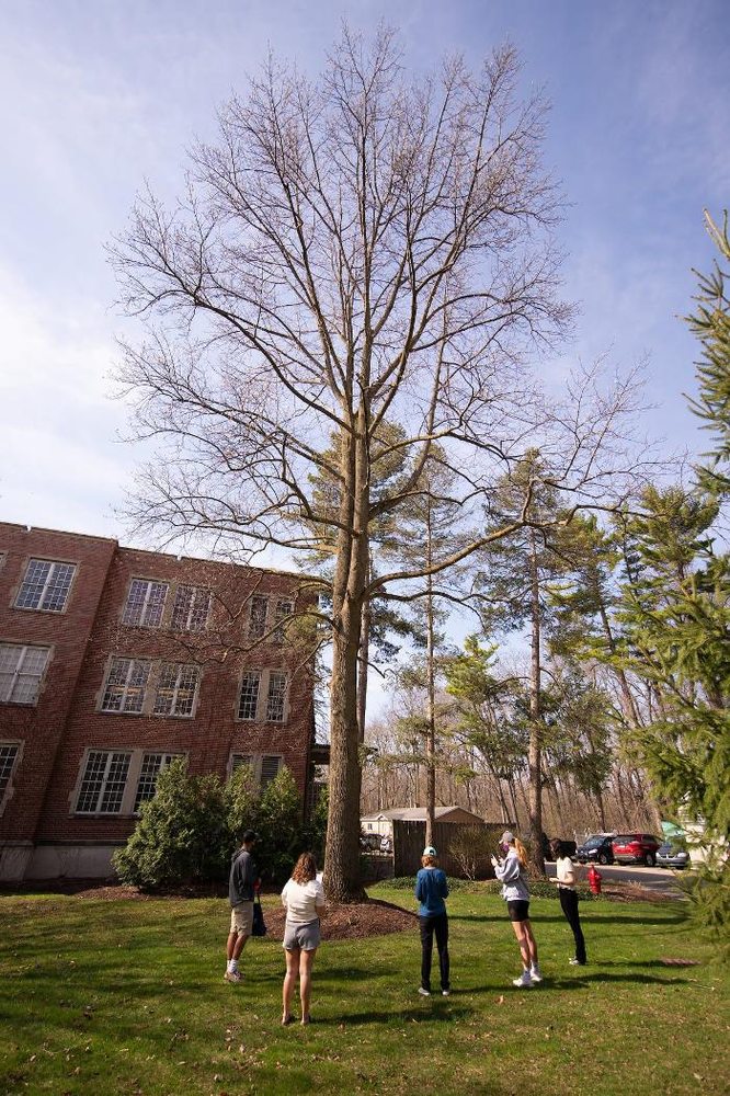 AQUINAS COLLEGE - Updated October 2024 - 10 Photos - 1700 Fulton St E ...