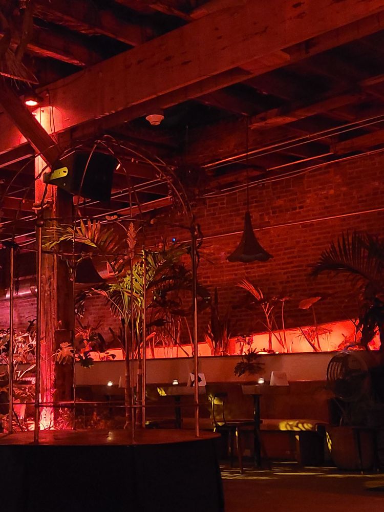 IN THE LOWEST FERNS - Updated October 2025 - 33 Photos & 15 Reviews ...