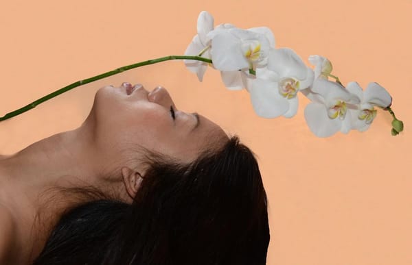 TEREZA MARIA PUPEZA SKIN CARE - Updated October 2025 - 19 Photos & 102 ...