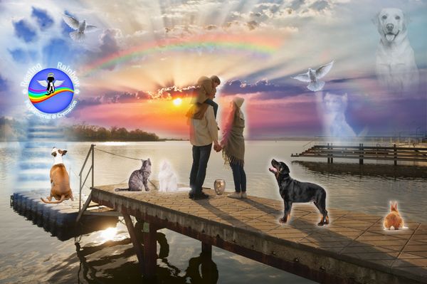 RESTING RAINBOW - Updated December 2025 - 47 Photos - 4340 NW 19th Ave ...