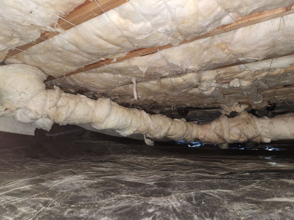 DRAGON GUARD INSULATION - Updated July 2025 - 25 Photos - Federal Way ...