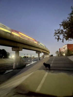 SAN GABRIEL RIVER BIKE PATH - Updated December 2025 - 172 Photos & 40 ...