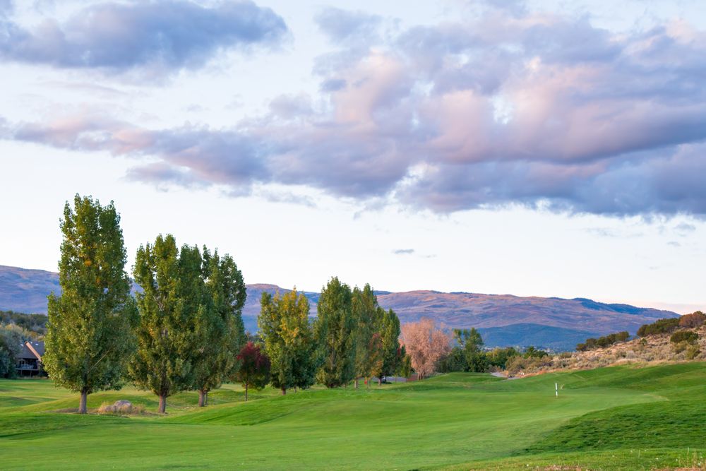 Cedaredge Golf Course - Trusted Since 2024 - Updated July 2025 - 500 SE ...